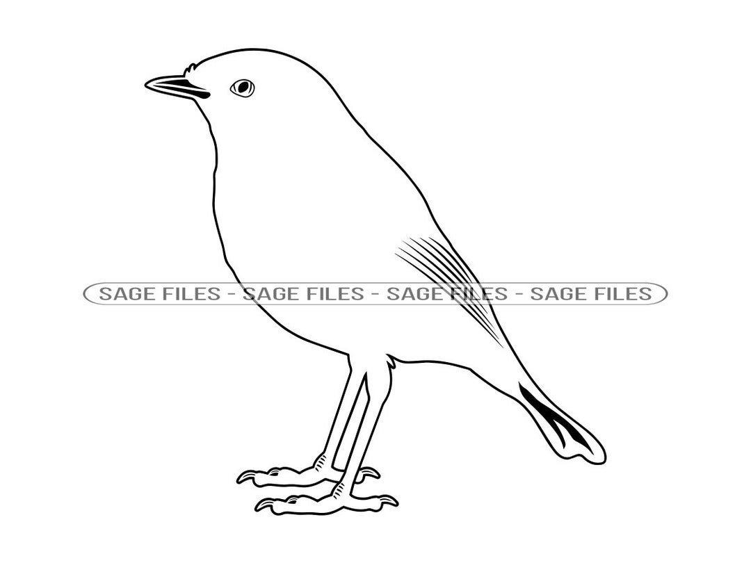 Robin Bird Outline SVG, Robin Bird SVG, Robin Bird Clipart, Robin Bird ...