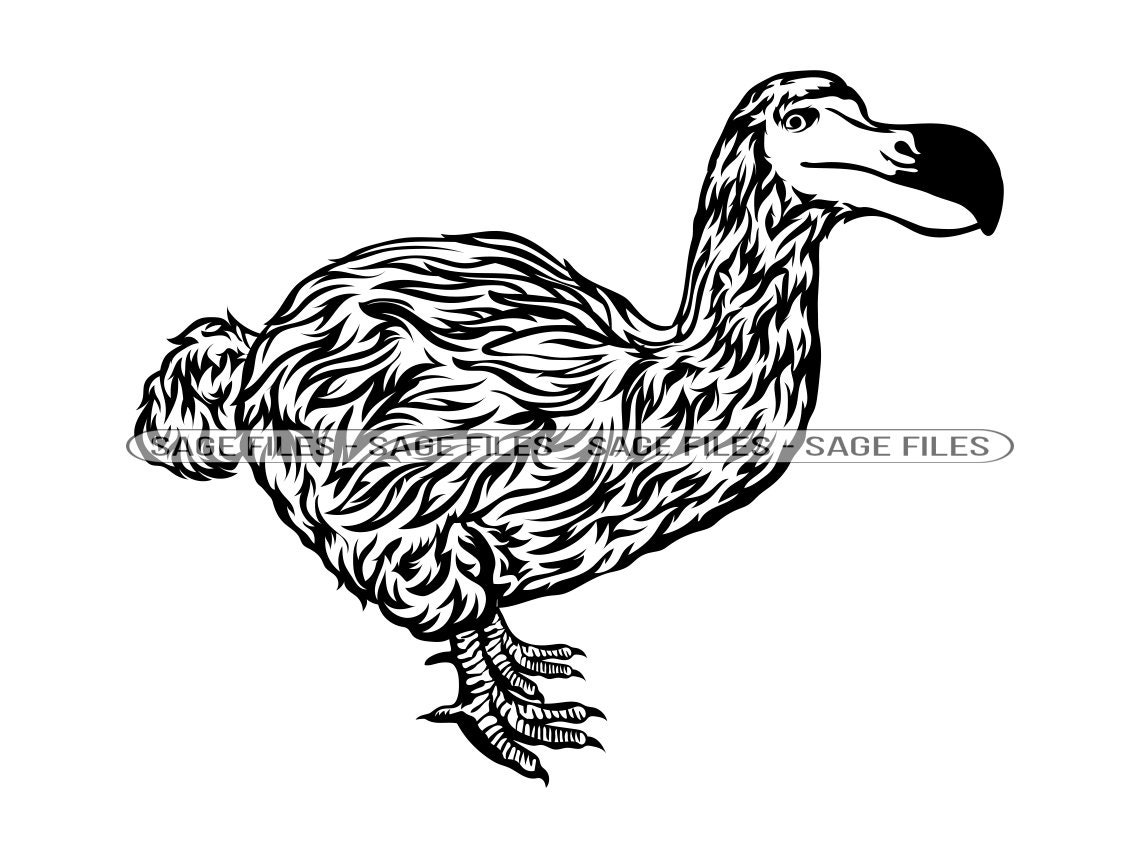 Dodo 2 SVG Dodo SVG Bird Svg Dodo Clipart Dodo Files for - Etsy