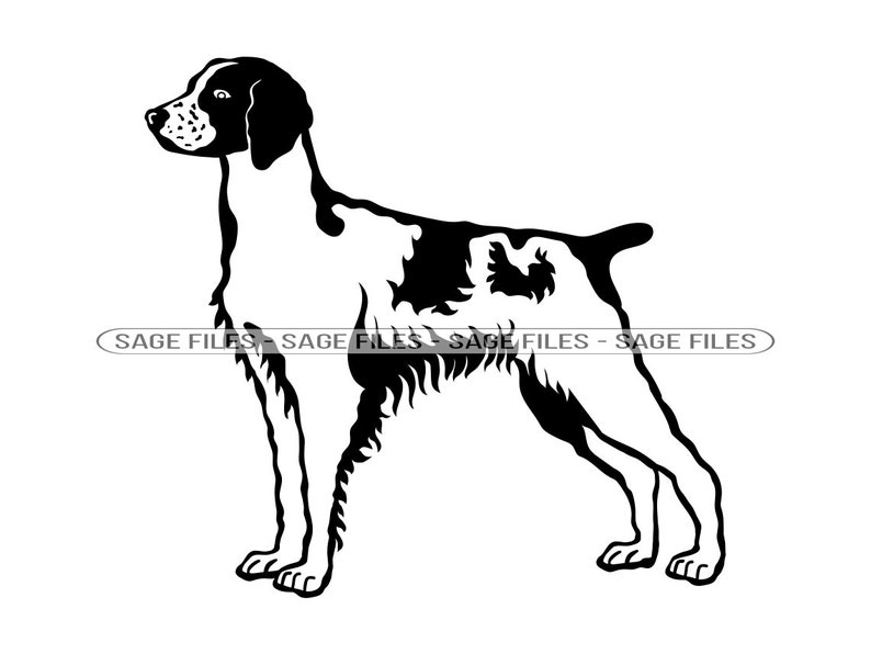 Brittany SVG Brittany Dog Svg Brittany Clipart Brittany - Etsy