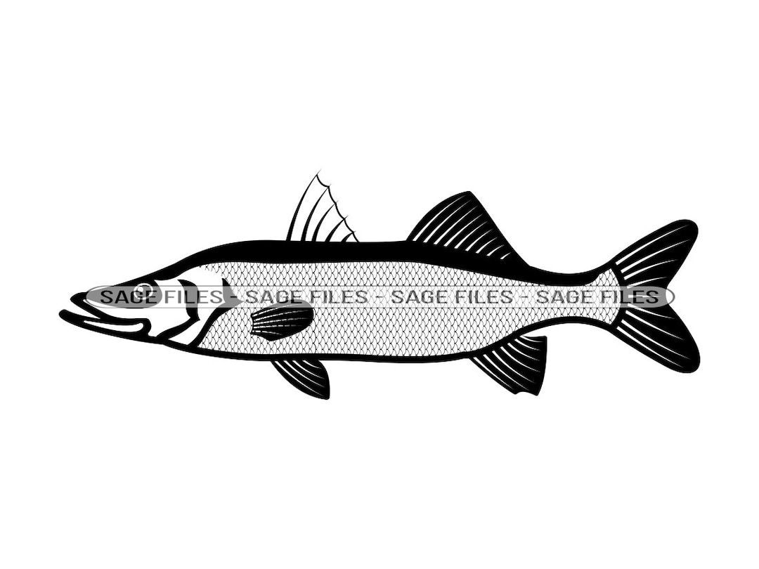 Snook SVG, Fishing Svg, Fish Svg, Fishing Clipart, Fishing Files for ...