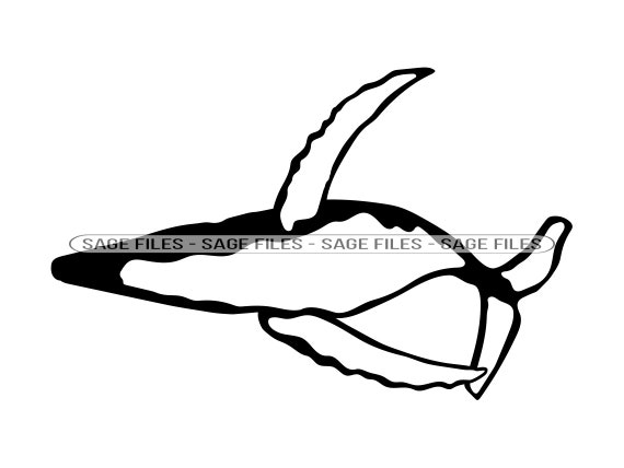 Humpback Whale 4 SVG Humpback Whale SVG Humpback Whale - Etsy