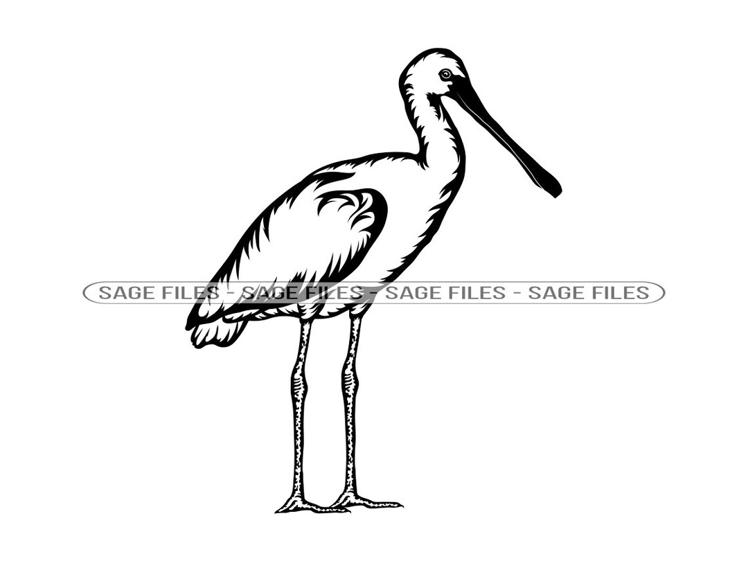Spoonbill SVG, Bird Svg, Spoonbill Clipart, Spoonbill Files for Cricut ...