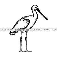Spoonbill - Etsy