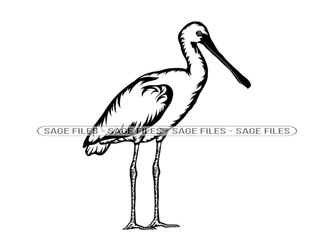 Spoonbill SVG Bird Svg Spoonbill Clipart Spoonbill Files - Etsy