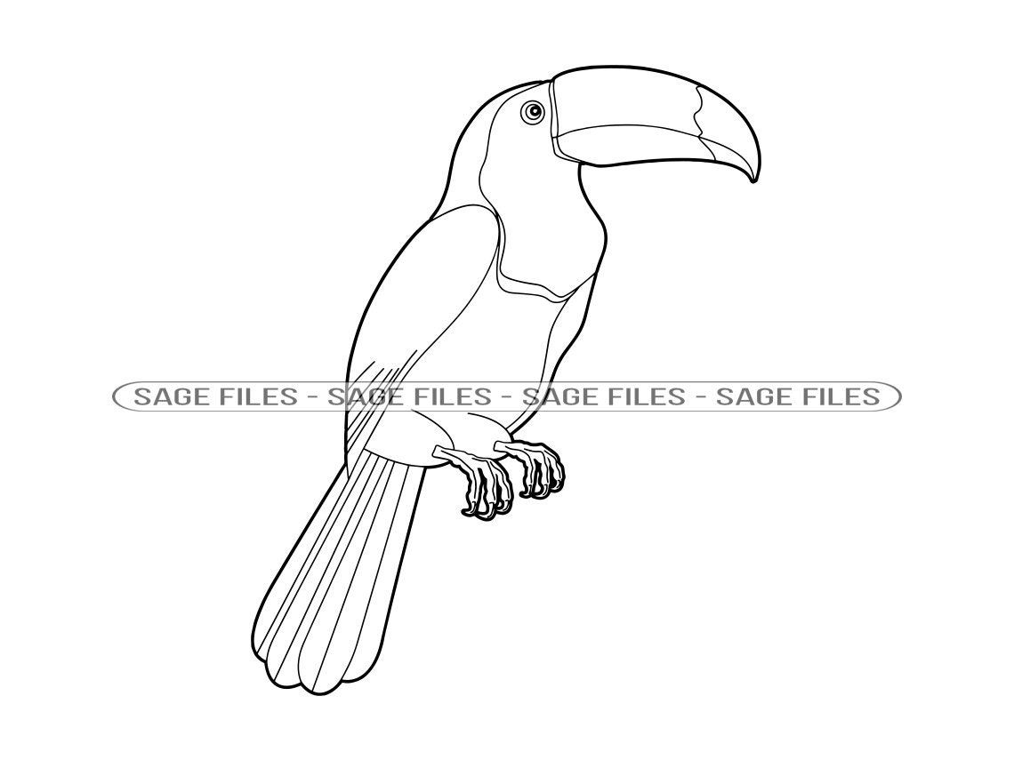 Toucan Outline SVG, Toucan Svg, Toucan Clipart, Toucan Files for Cricut ...