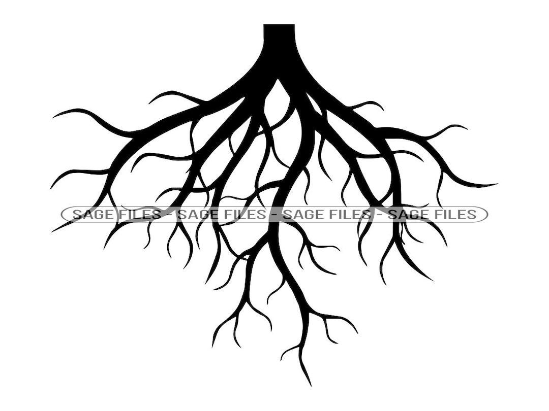 Roots SVG, Tree Roots Svg, Family Svg, Roots Clipart, Roots Files for ...