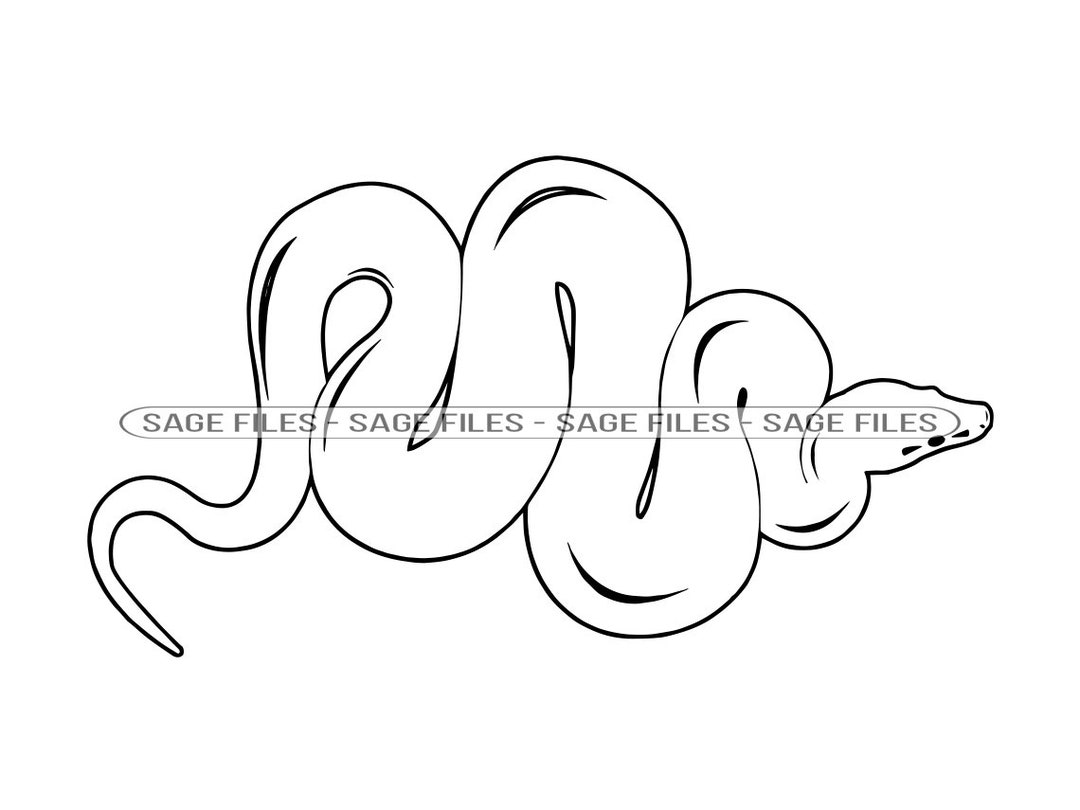 Anaconda Outline 2 SVG Anaconda SVG Snake Svg Python Svg - Etsy