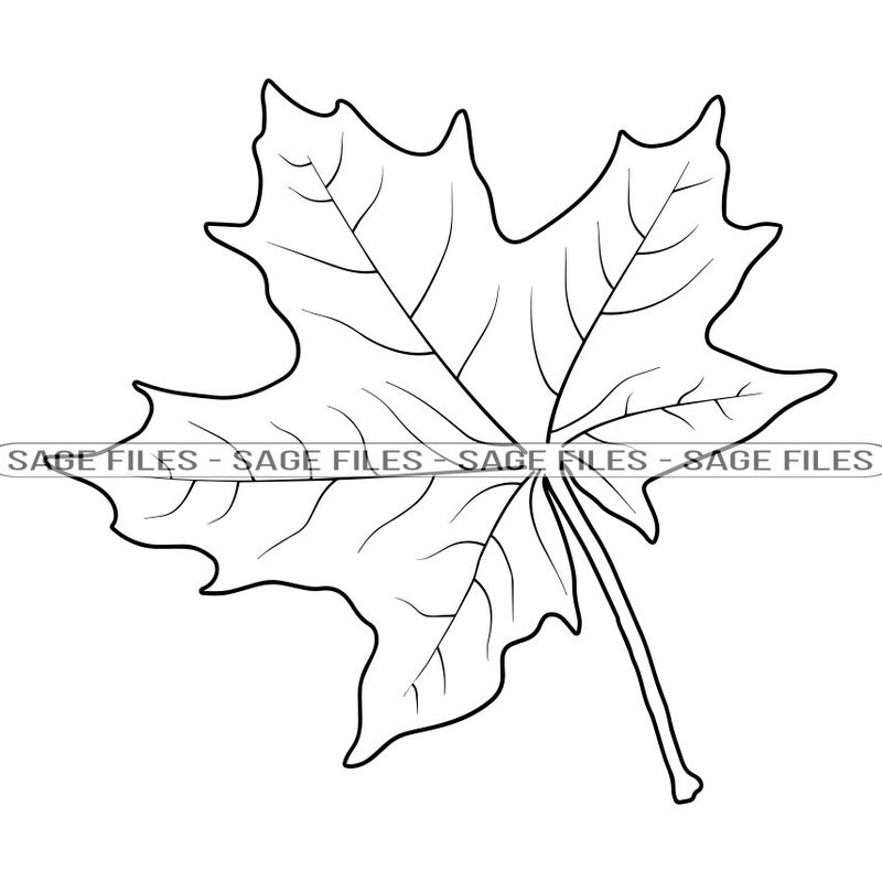 Maple Leaf Line Art - Etsy