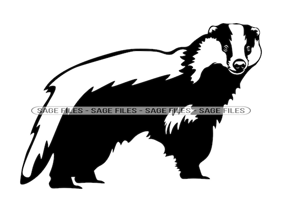 Badger 6 SVG Badger PNG Badger Design Badger Clipart - Etsy