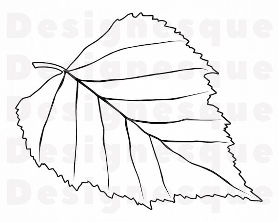 Birch Leaf Outline SVG Birch Tree Leaf Svg Birch Leaf - Etsy