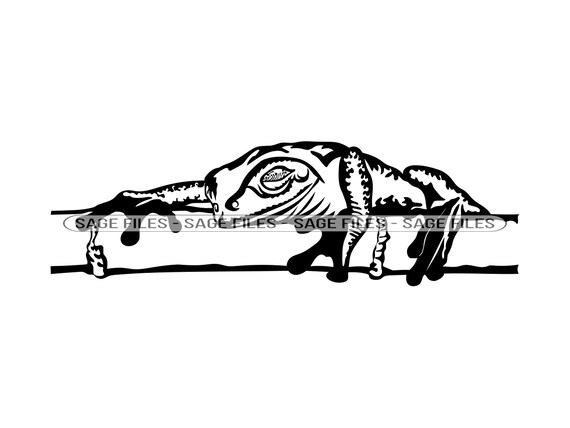 Sleeping Frog SVG Frog Svg Frog Clipart Frog Files for - Etsy
