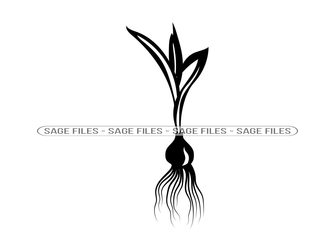 Flower Bulb 4 SVG Flower Bulb Svg Planting Svg Gardening - Etsy