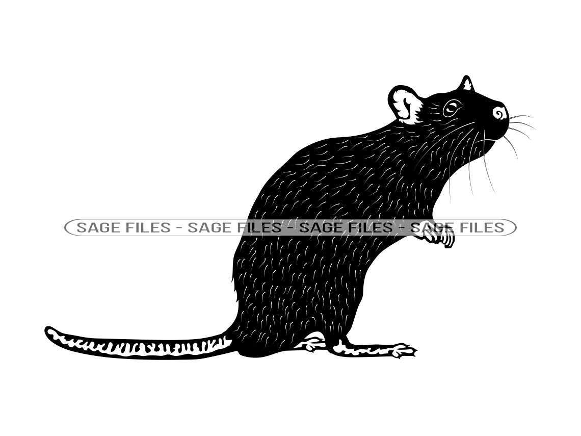Rat #3 SVG, Rat Svg, Rodent Svg, Rat Clipart, Rat Files for Cricut, Rat ...