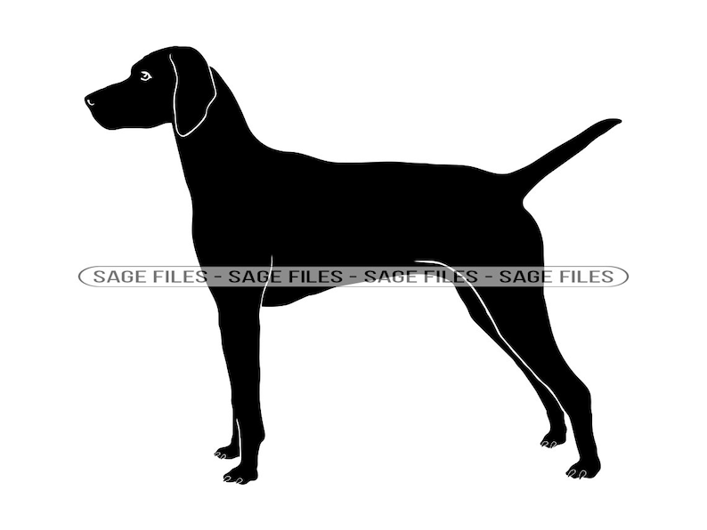 Vizsla SVG Hond Svg Vizsla Clipart Vizsla Bestanden voor - Etsy België