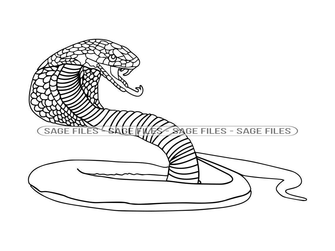 Cobra Outline 3 SVG, Cobra SVG, Snake Svg, Cobra Clipart, Cobra Files ...