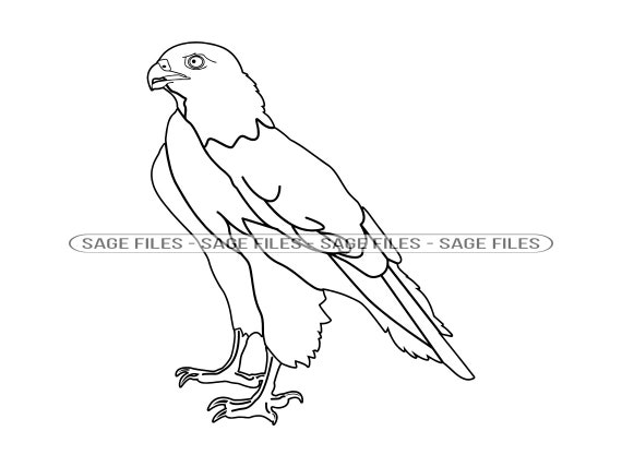 Hawk Outline SVG Hawk Svg Hawk Clipart Hawk Files for - Etsy Canada