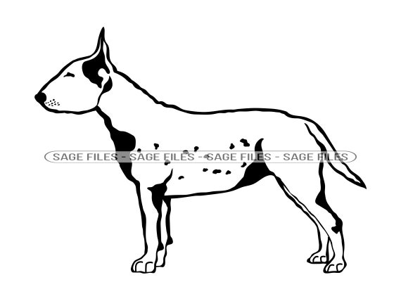 Bull Terrier SVG Dog Svg Bull Terrier Clipart Bull Terrier - Etsy