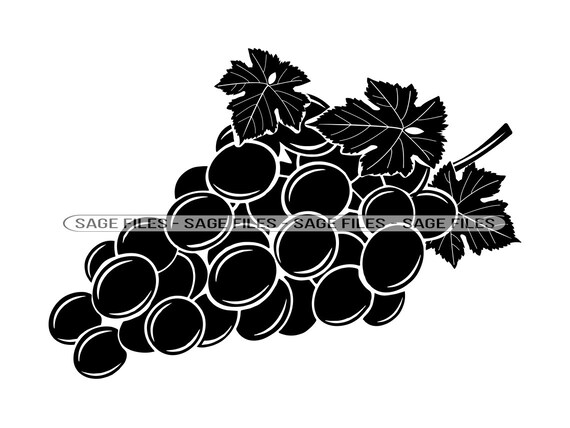 Grape 8 SVG Grape SVG Wine Svg Fruit SVG Grape Clipart - Etsy
