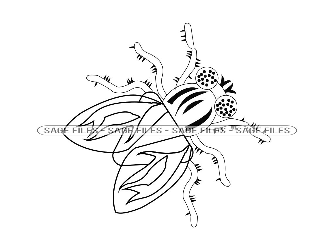 Fly SVG Flies Svg Insect Svg Fly Clipart Fly Files for - Etsy Finland