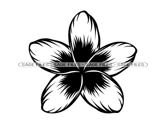 Frangipani Flower SVG Flower Svg Decorative Svg Flower - Etsy