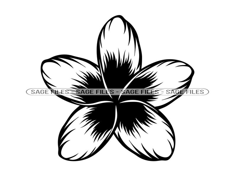 Frangipani Flower SVG Flower Svg Decorative Svg Flower - Etsy
