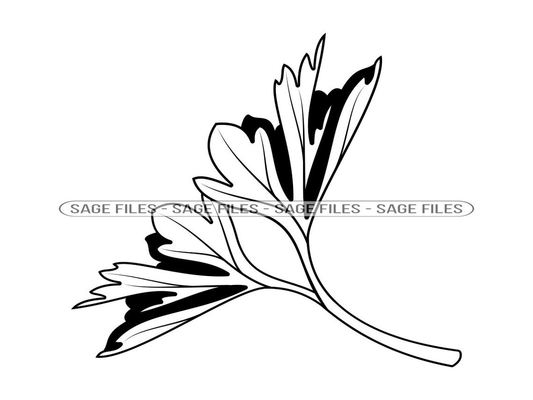 Perejil 3 SVG, Perejil SVG, Herb Svg, Vegetales Svg, Perejil Clipart ...