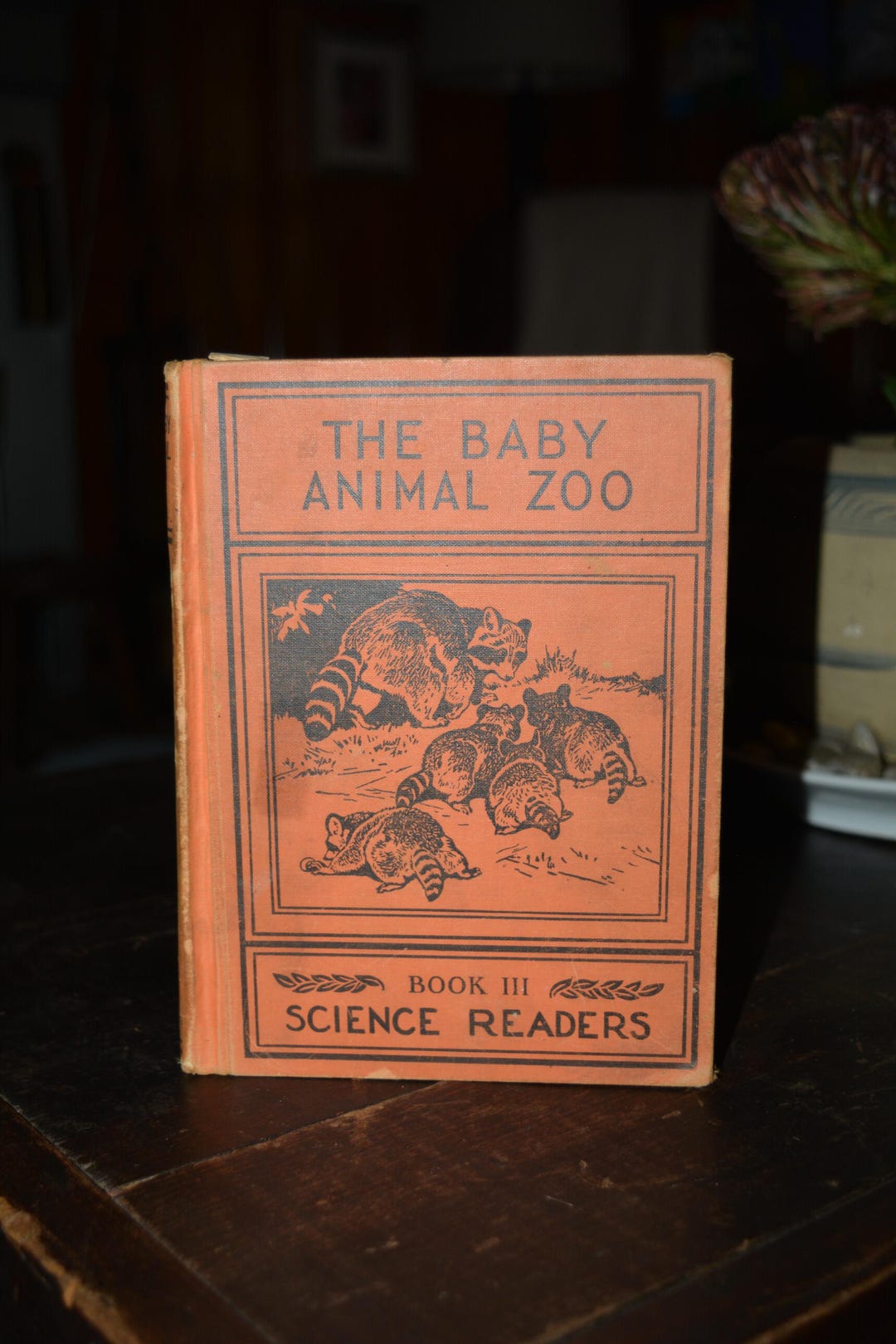 1926 the Baby Animal Zoo Book - Etsy