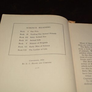 1926 the Baby Animal Zoo Book - Etsy