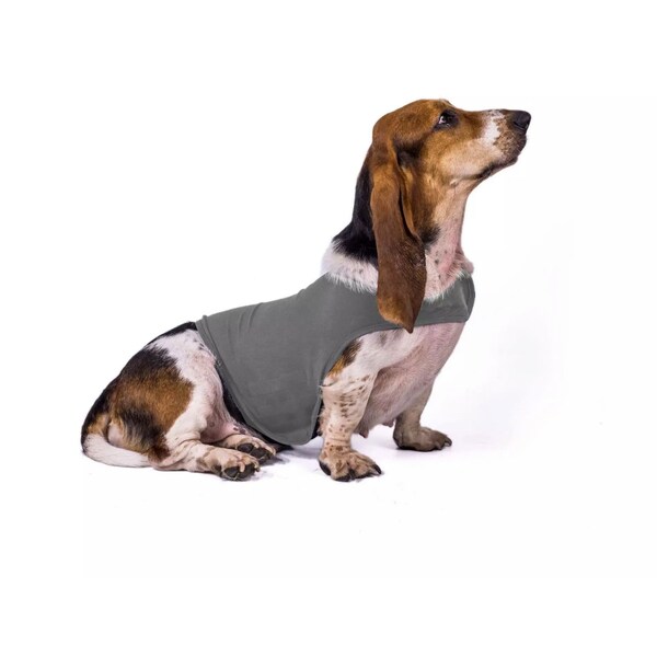 Custom Dog Vest - Etsy