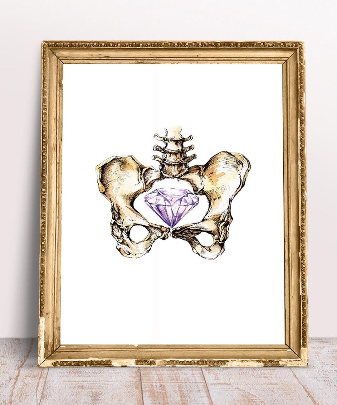 The Diamond. Illustration of the Anatomy of the Perineum and Pelvis - Etsy