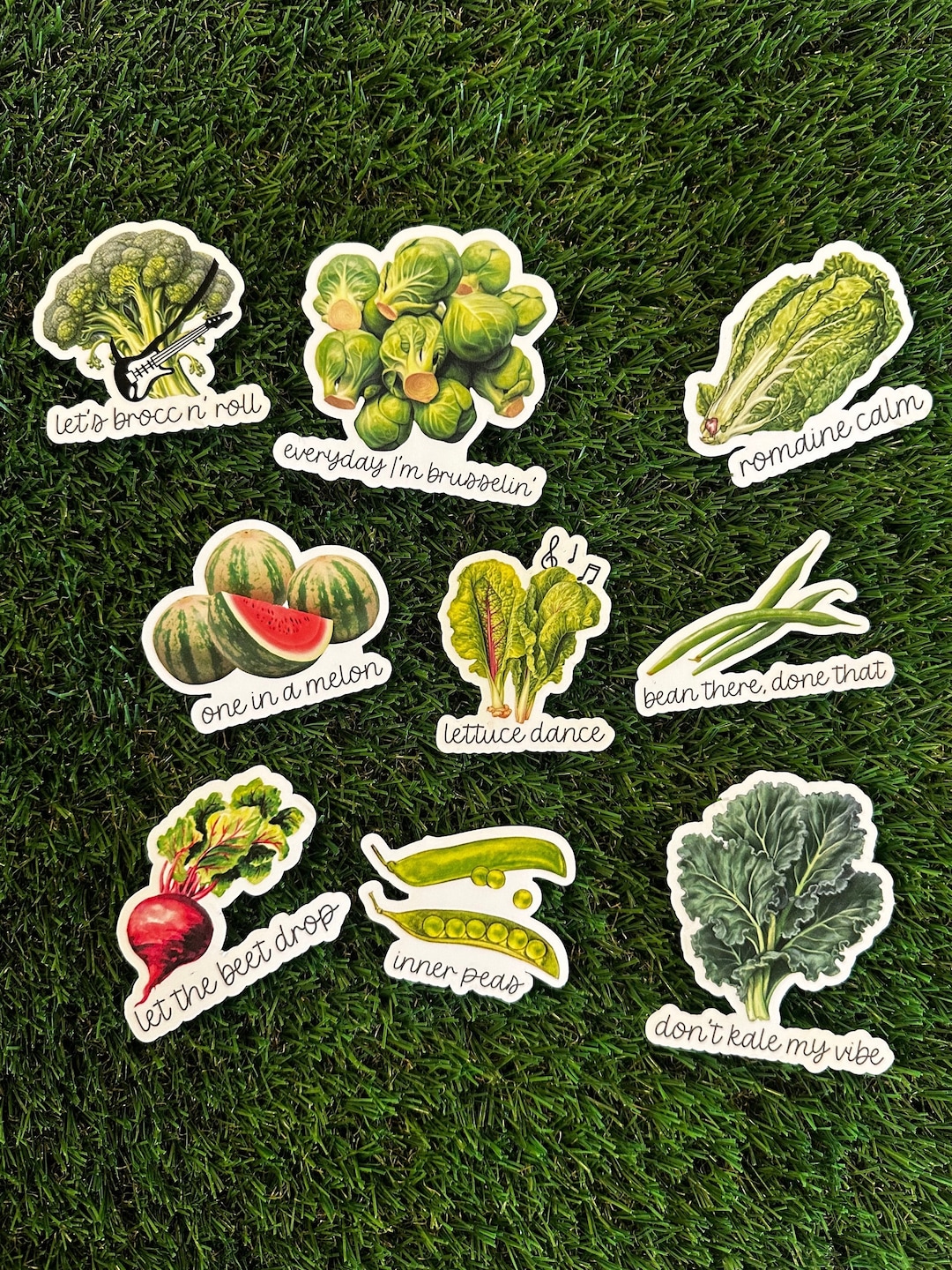 9 Pcs Vegetables and Produce Pun Stickers Funny Plant - Etsy