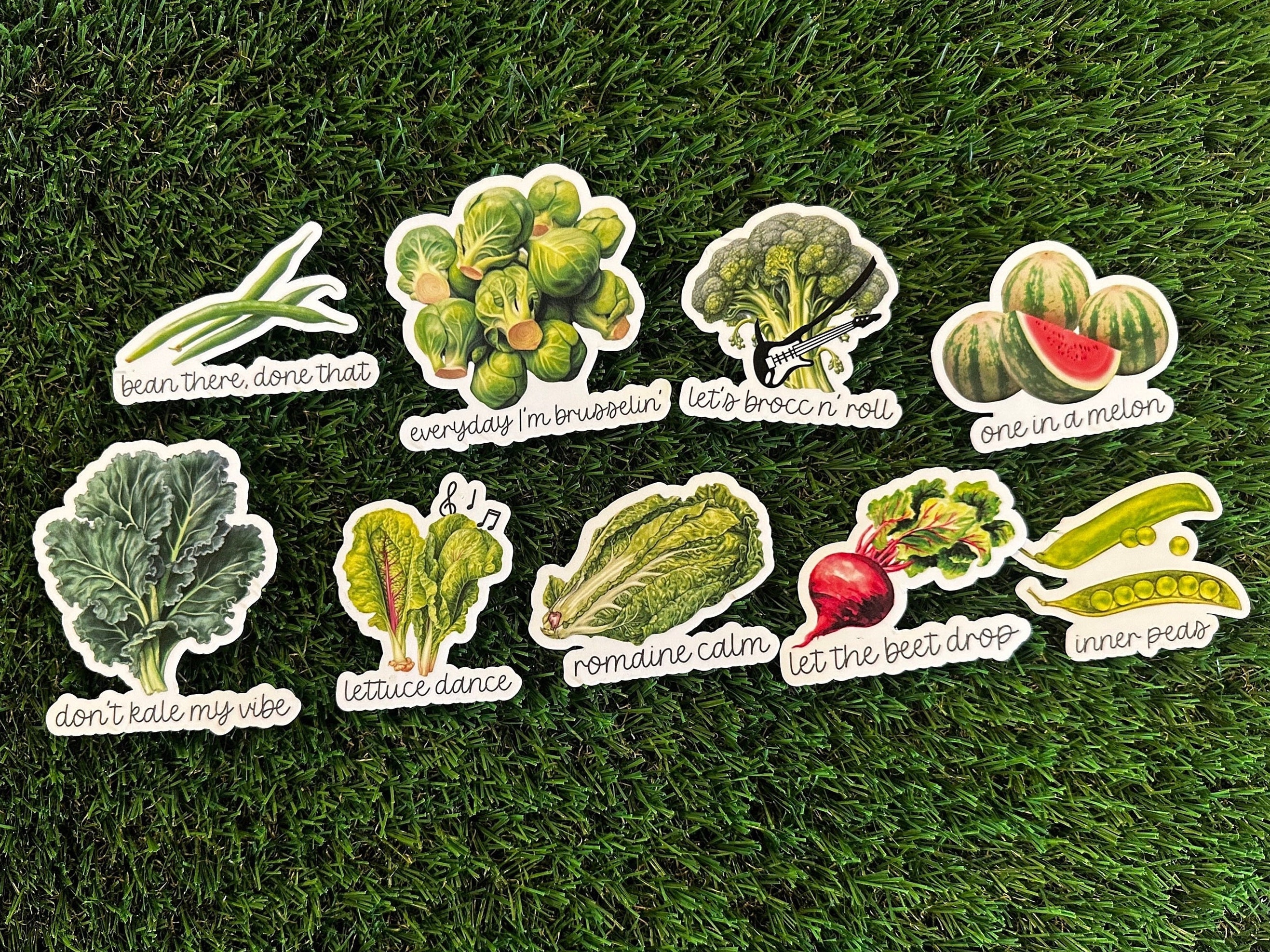 9 Pcs Vegetables and Produce Pun Stickers Funny Plant - Etsy