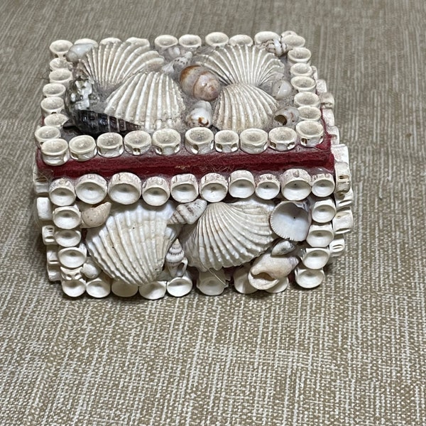 Seashell Jewelry Box - Etsy