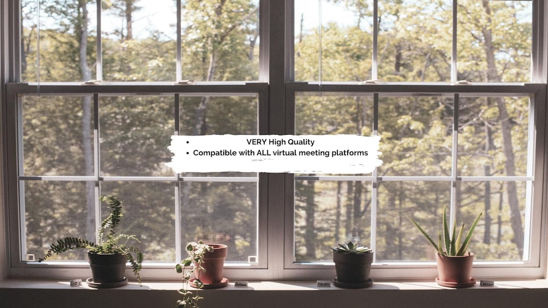 Zoom Background With View, Natural Lighting Background, Plants Backdrop ...