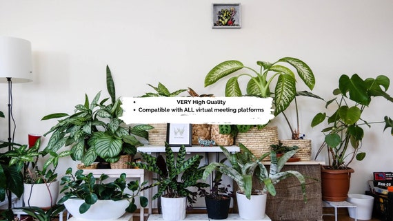 Zoom Background Wall Zoom Plants Wall Virtual Meeting Wall - Etsy