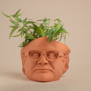 The Original XL Danny Devito Frank Reynolds Head Planter for House ...