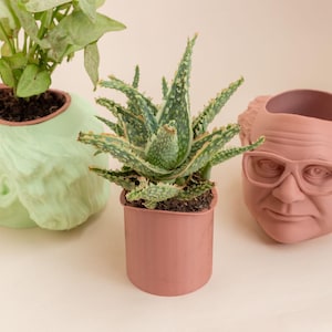 The Original Danny Devito Frank Reynolds Head Planter for House Plants ...
