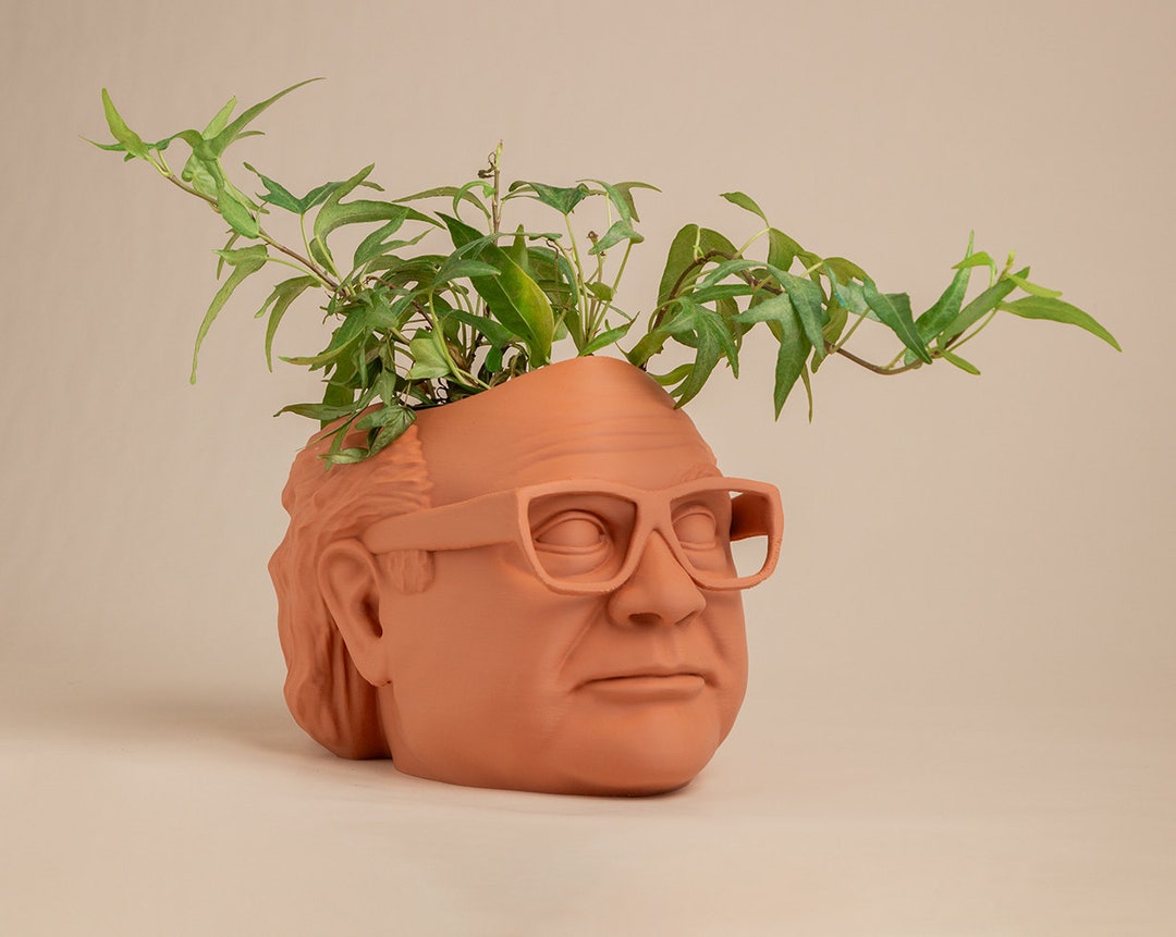 The Original XL Danny Devito Frank Reynolds Head Planter for House ...