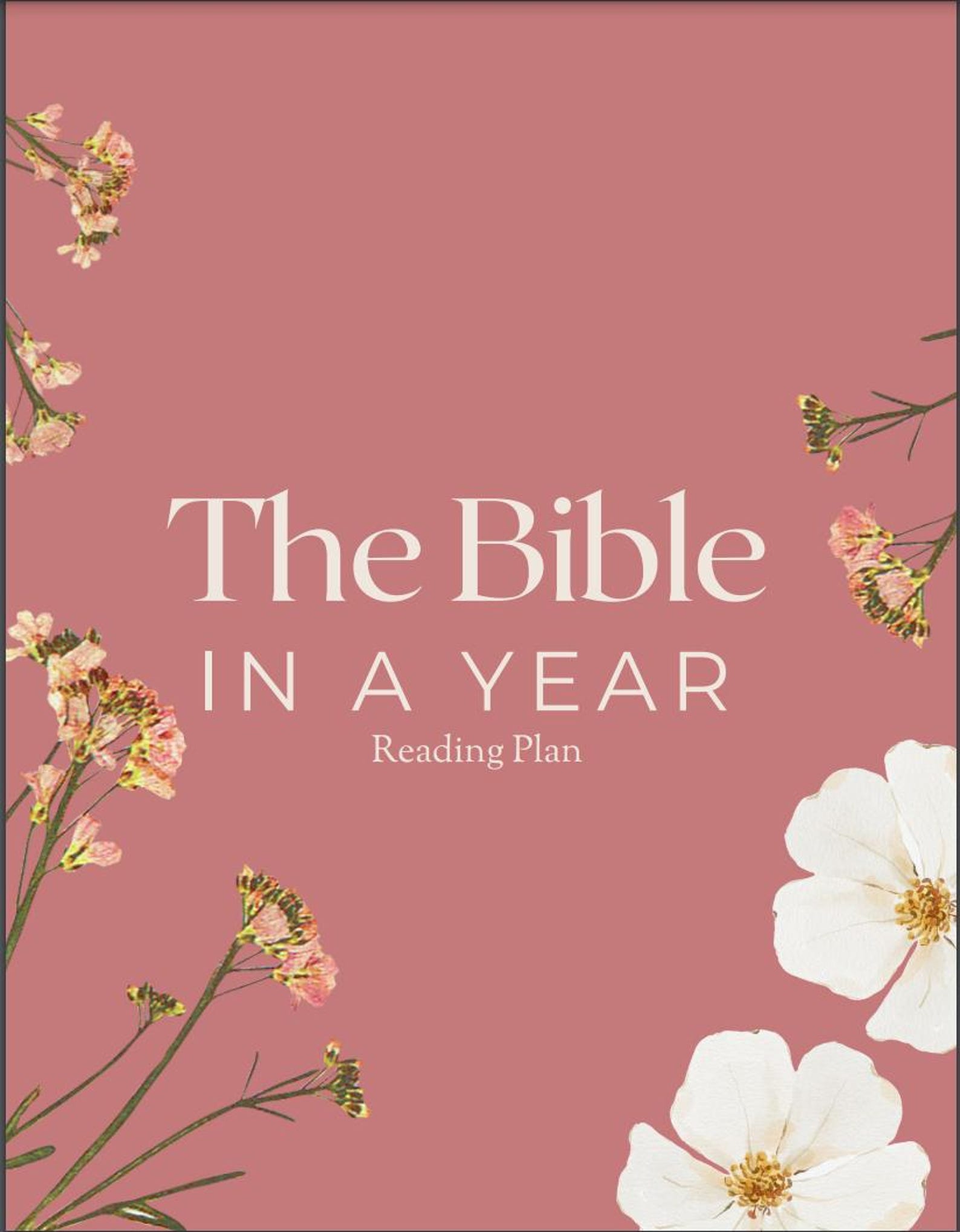 Bible in A Year Reading Plan - Monthly Summaries, Memory Verses, Key ...