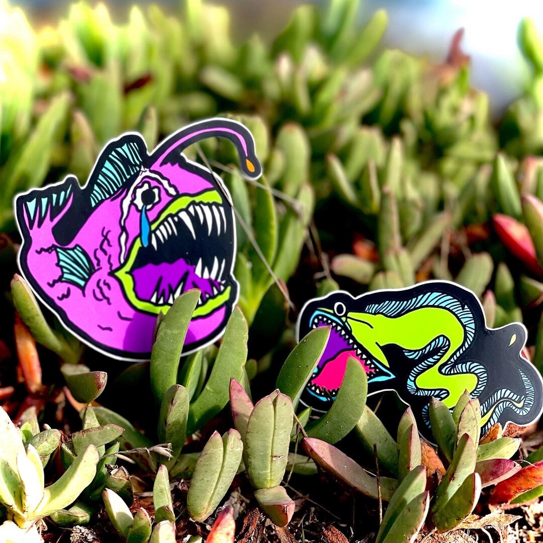 Deep Sea Creature Sticker Duo| Custom | Laptop | for Hydroflask | for ...