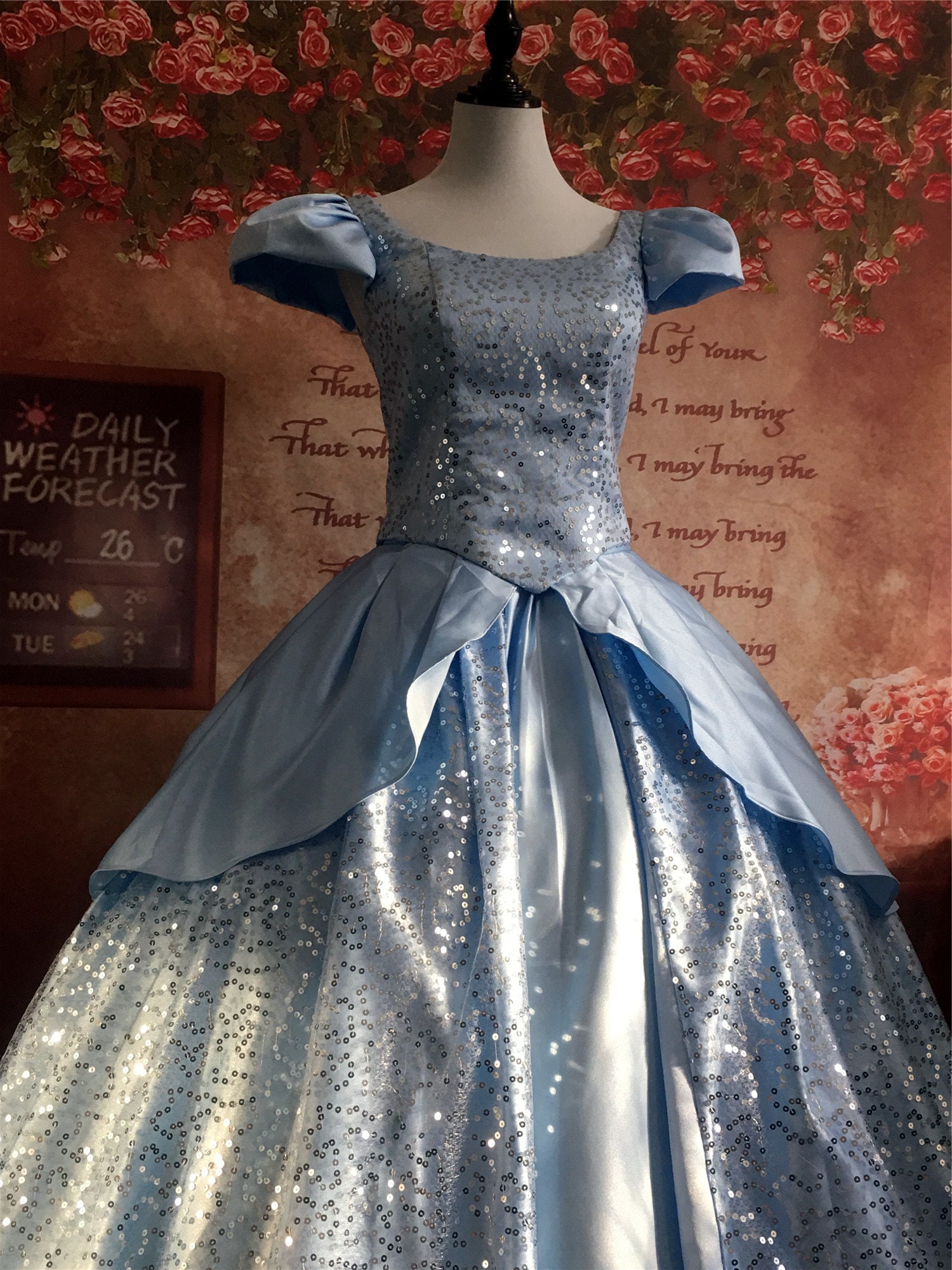 Modern Cinderella Costume