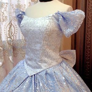 Park Inspired Classic Cinderella Dress Adult Cinderella Cosplay Costume ...