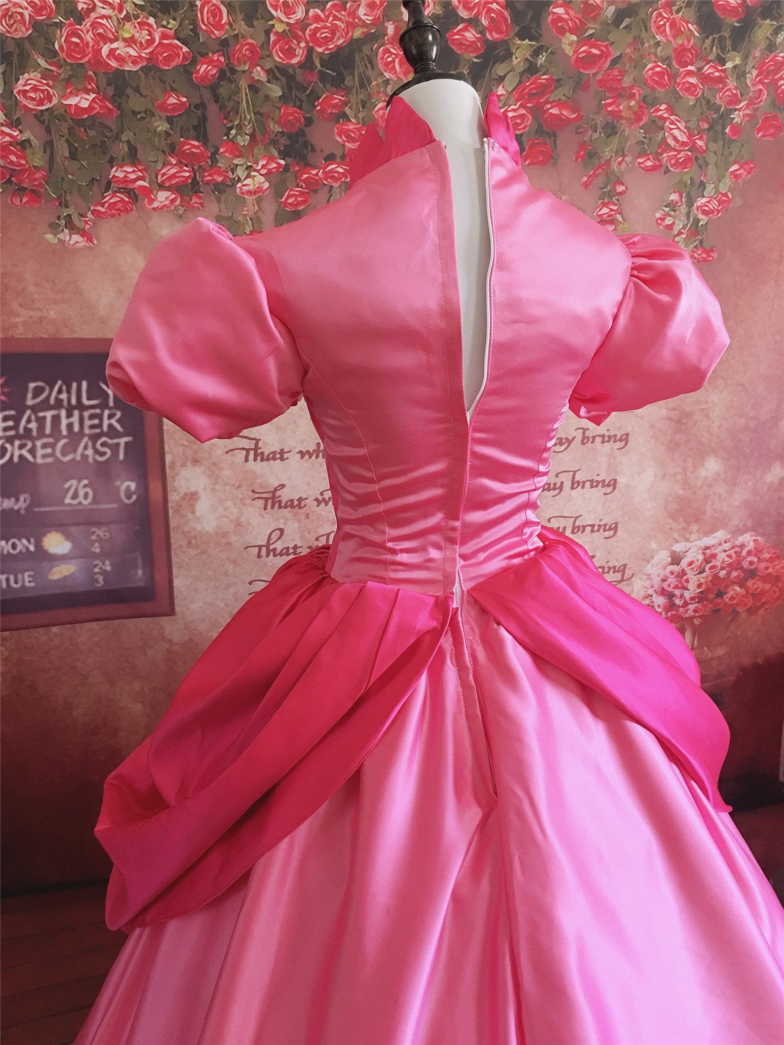 Peach Costume Adult Peach Dress - Etsy