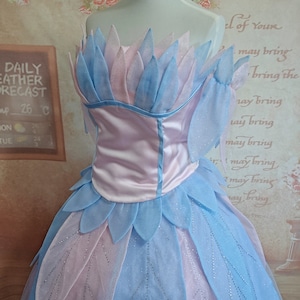 Swan Princess Odette Dress Cosplay Costume - Etsy