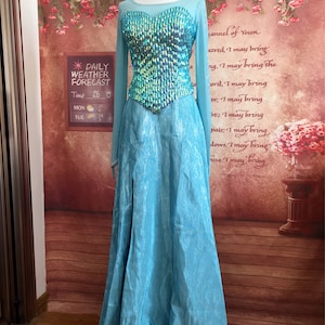 Adult Elsa Dress Elsa Cosplay Costume Blue Dresses Halloween Dress - Etsy