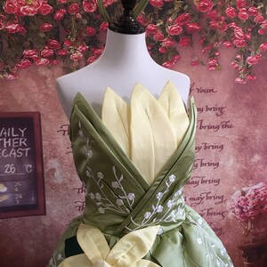 Embroidery Tiana Dress Princess and the Frog Cosplay Costume - Etsy