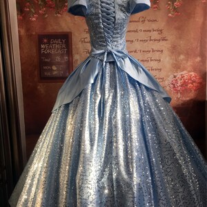 Princess Cinderella Dress Cosplay Costume - Etsy