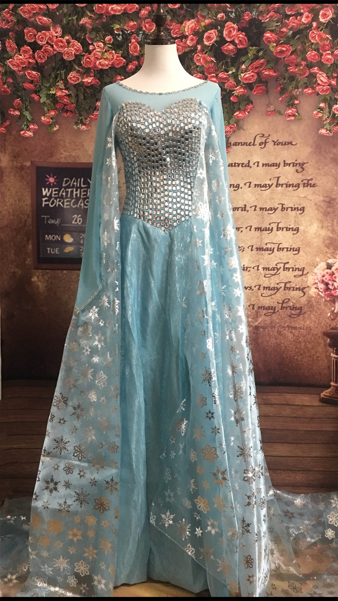Elsa Dress Cosplay Costume - Etsy