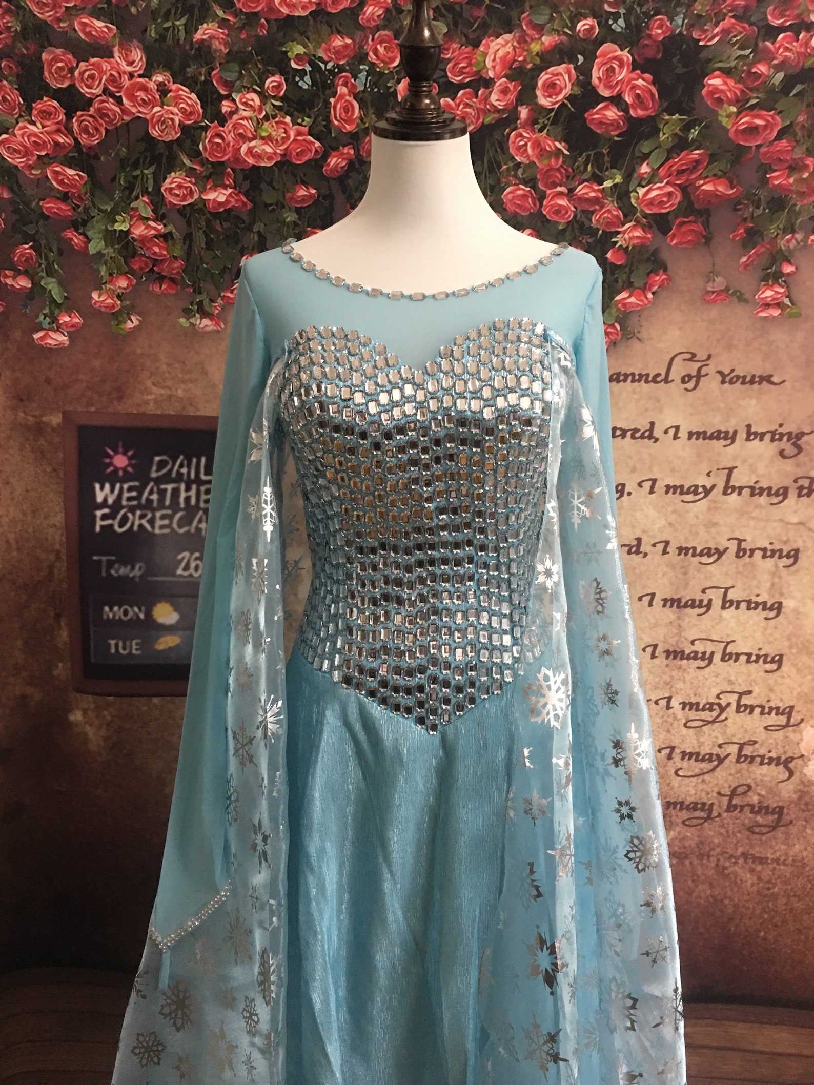 Elsa Dress Cosplay Costume - Etsy