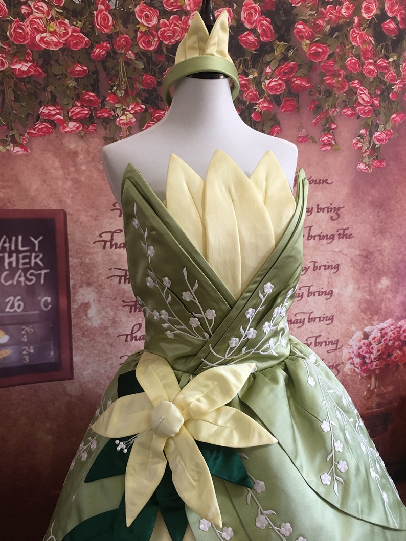 Embroidery Tiana Dress Princess and the Frog Cosplay Costume - Etsy